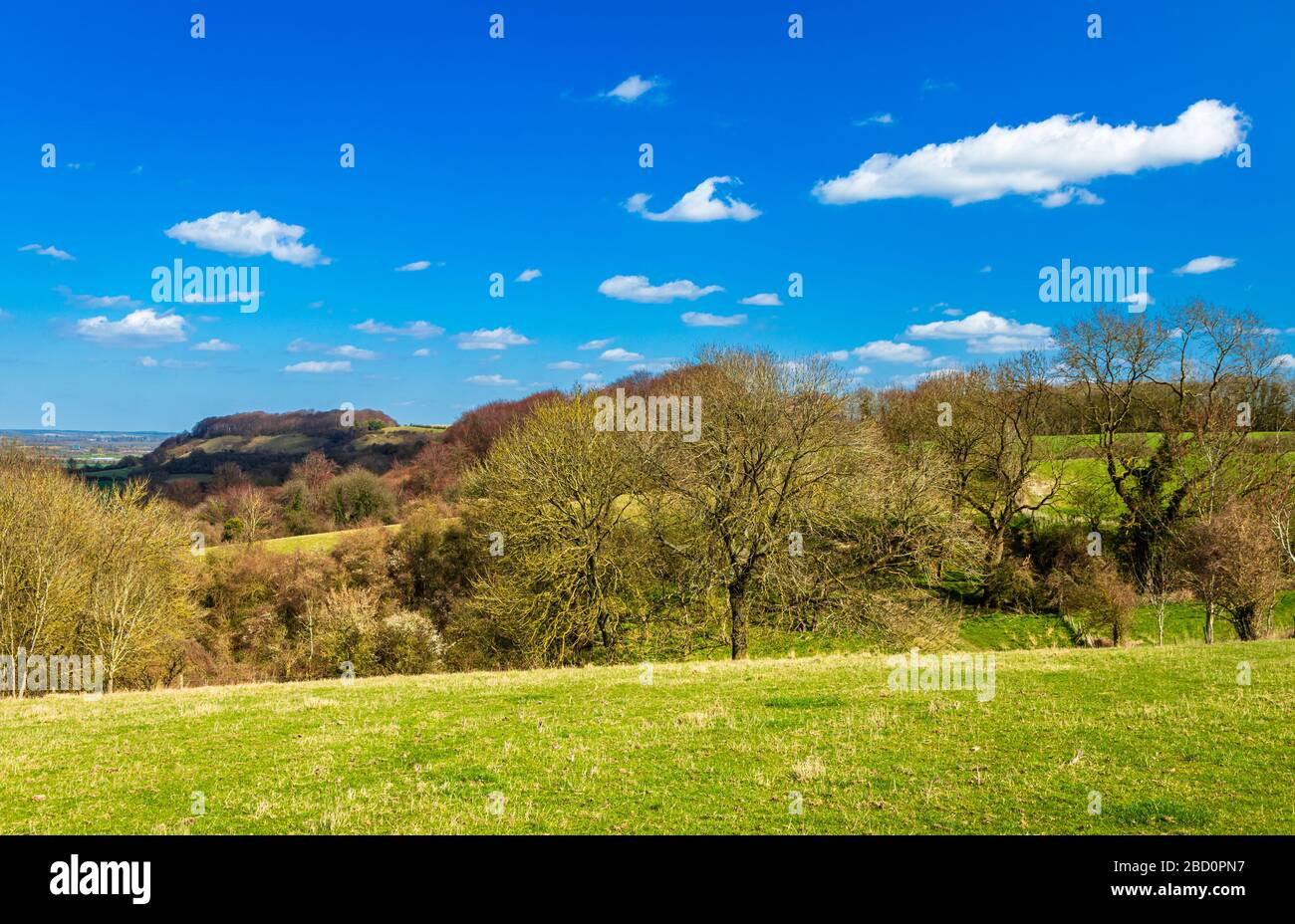Beautiful March spring day on the Sundon Hills part of the Chilterns in ...