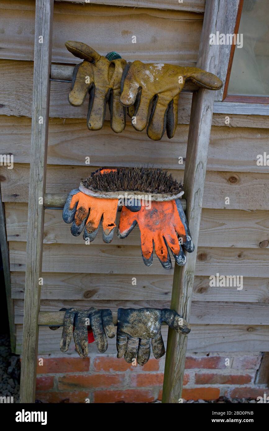 Work worn hands hi-res stock photography and images - Alamy