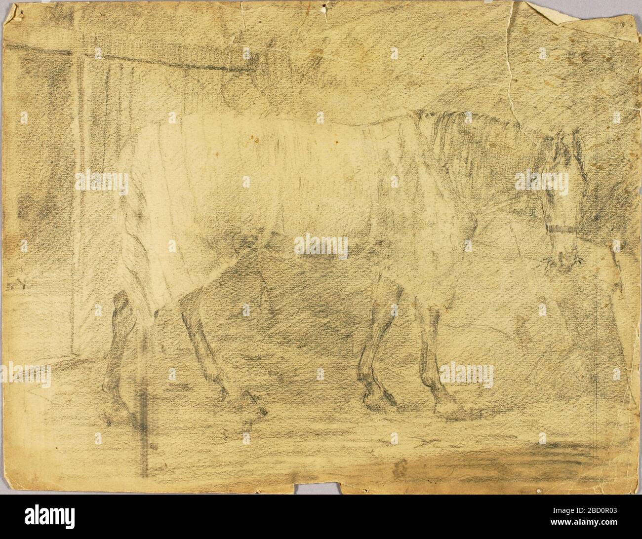 Detailed horse depiction hi-res stock photography and images - Alamy