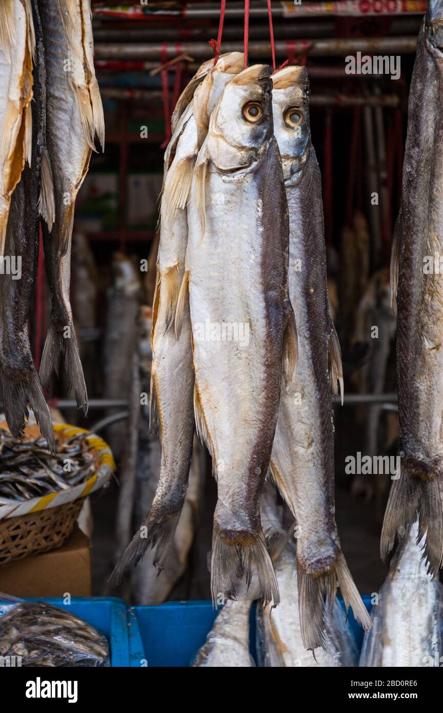 Poland notices a trend : r/polandball