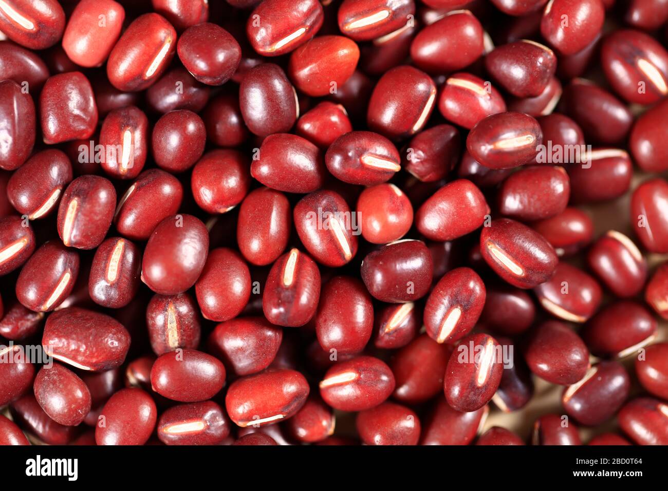 Red bean, close-up, shot in the studio Stock Photo - Alamy