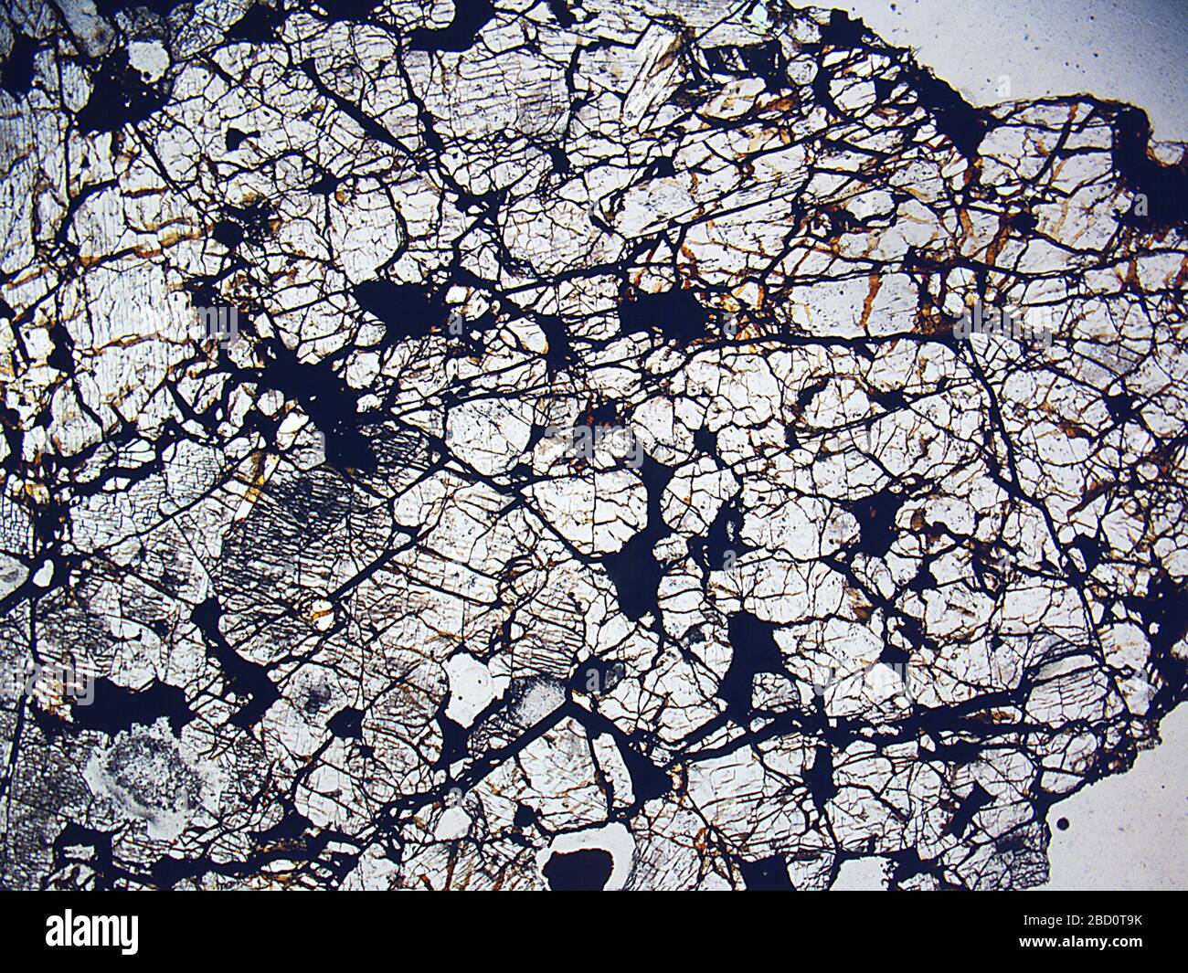 Shallowater hi-res stock photography and images - Alamy