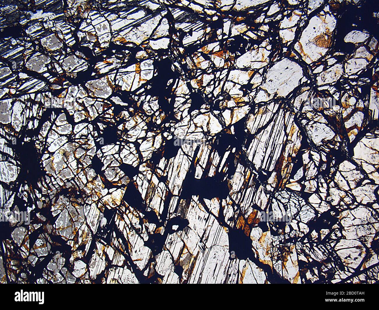 Shallowater hi-res stock photography and images - Alamy