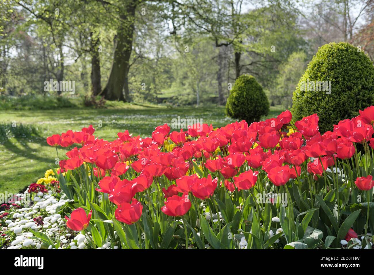 Hexham Park, Northumberland Stock Photo - Alamy