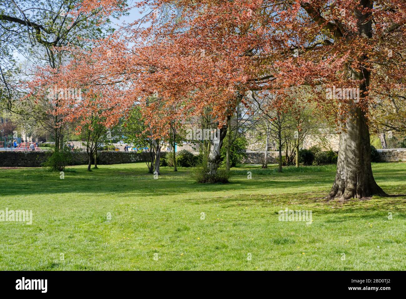 Hexham park hi-res stock photography and images - Alamy