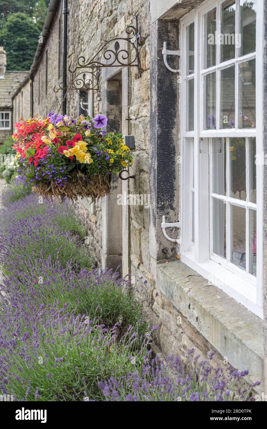 Cottages with hanging basket hi-res stock photography and images - Alamy