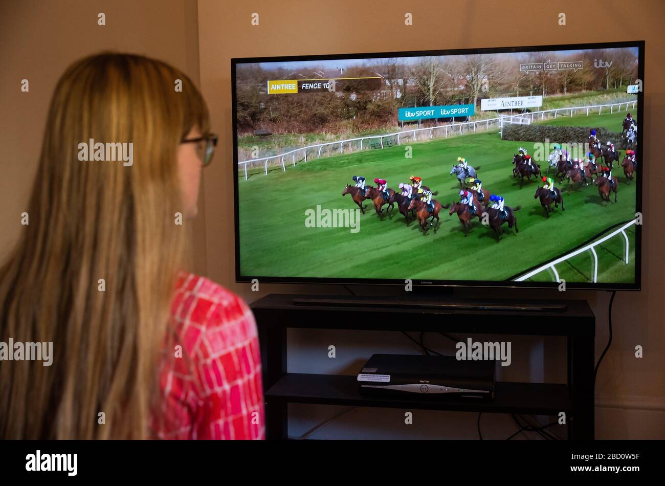 The virtual grand national hi-res stock photography and images - Alamy