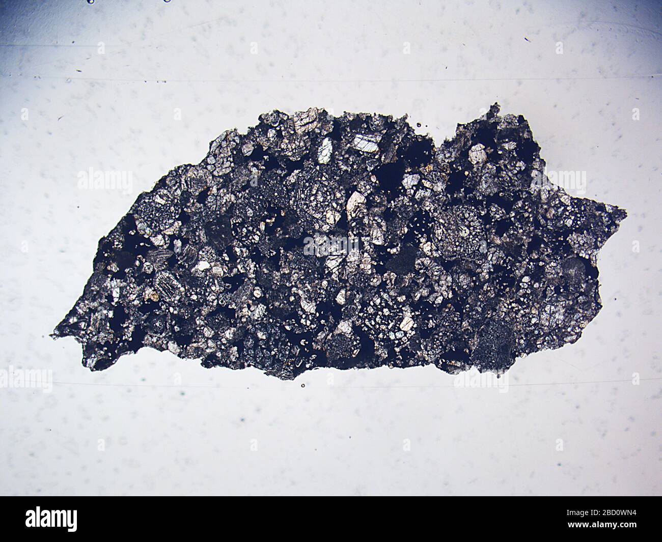 Wessely hi-res stock photography and images - Alamy