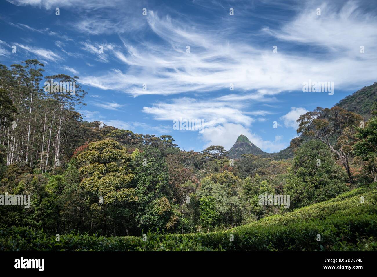 Sri pada hi-res stock photography and images - Alamy