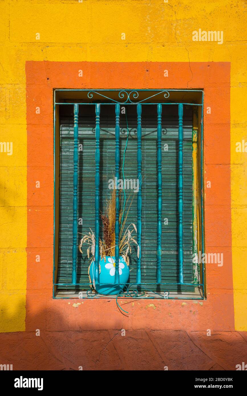 Plant pot in a closed window Stock Photo - Alamy