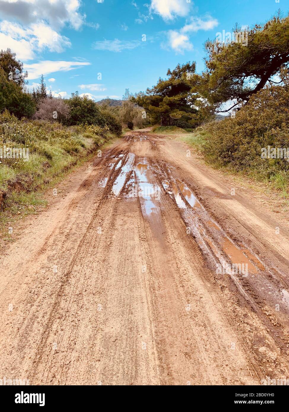 Muddy bumpy path in detail. Impassable road Stock Photo - Alamy