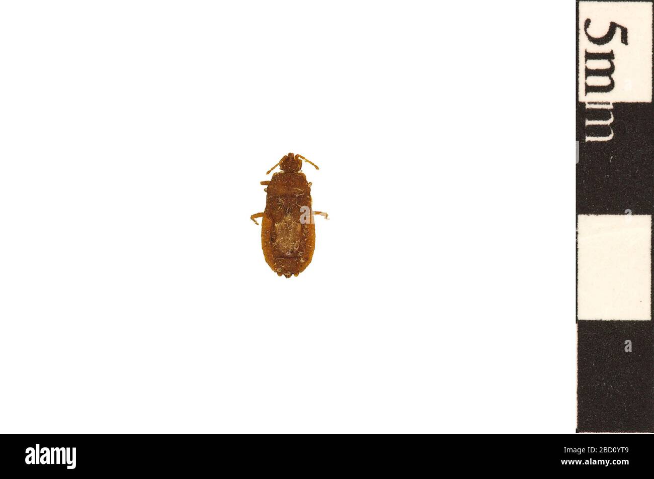 020015 hi-res stock photography and images - Alamy