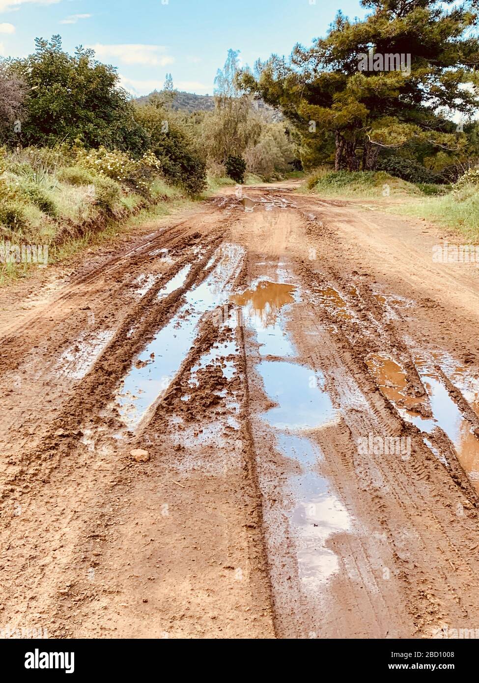 Bumpy Road