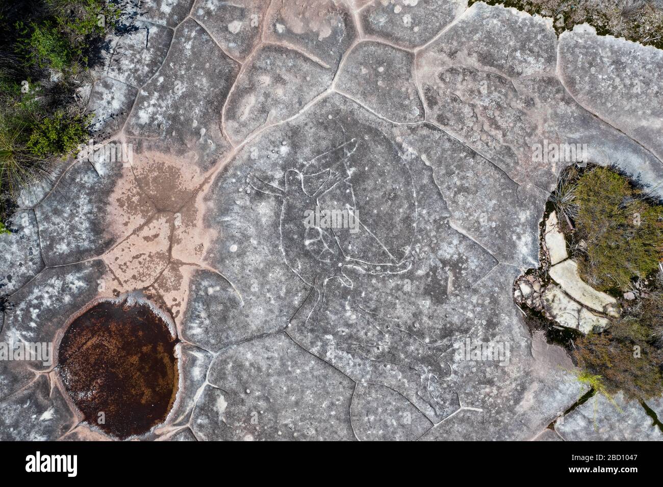 Ku ring gai national park sydney hi-res stock photography and images ...