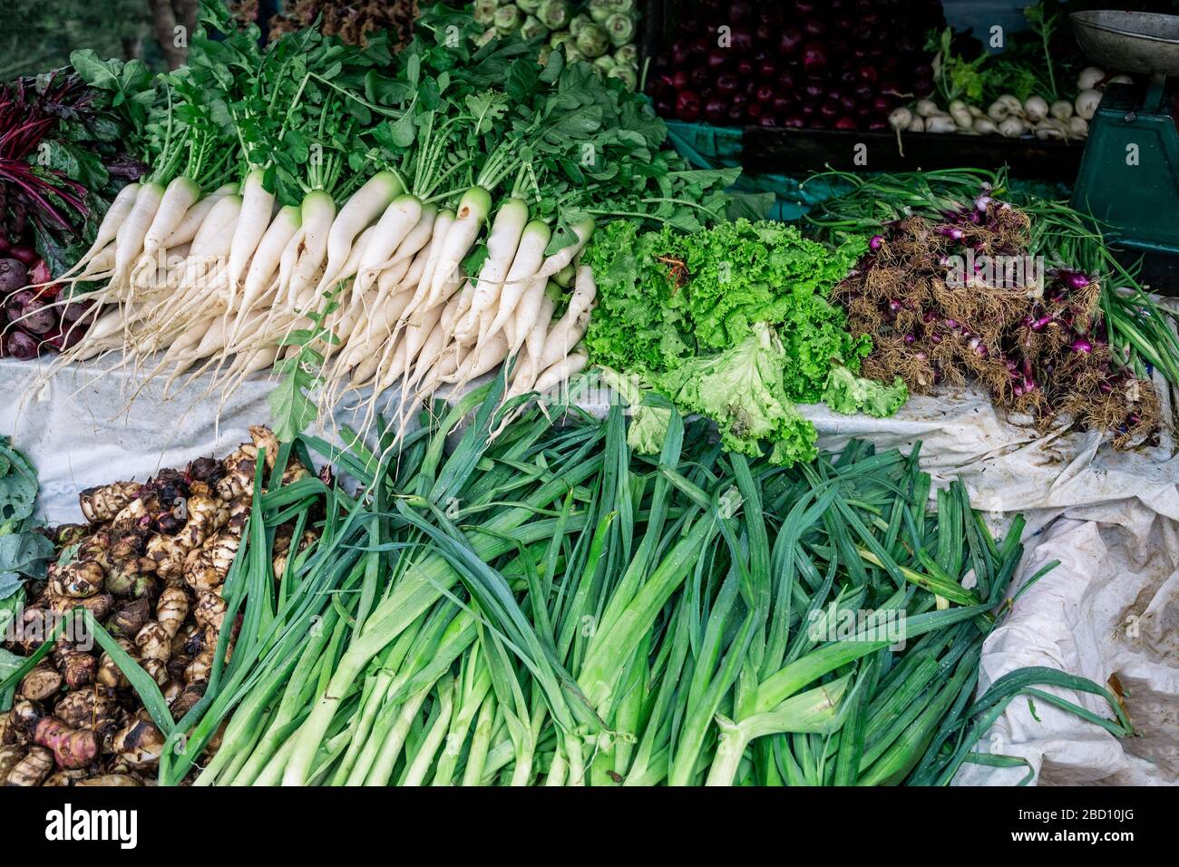 Sri lanka kandy vegetable shop hi-res stock photography and images - Alamy