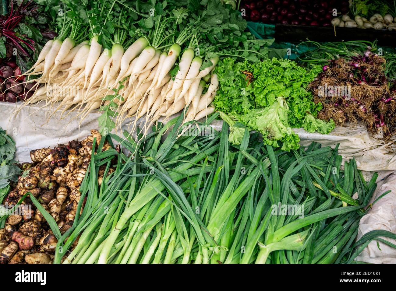 Fruit vegetable market colombo hi-res stock photography and images - Alamy