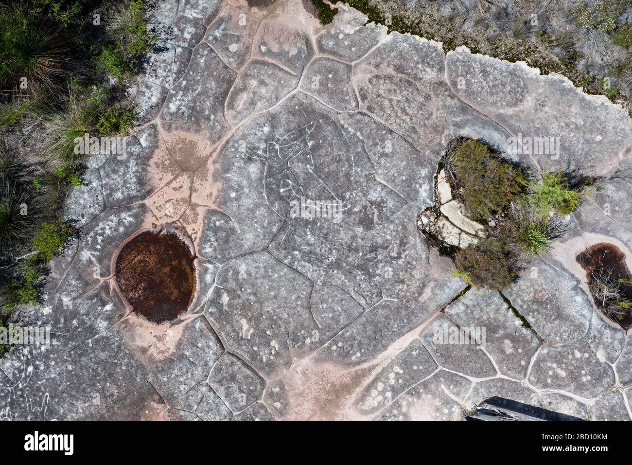 Aboriginal Rock Carving No Reprieve For Tasmanian Rock Art
