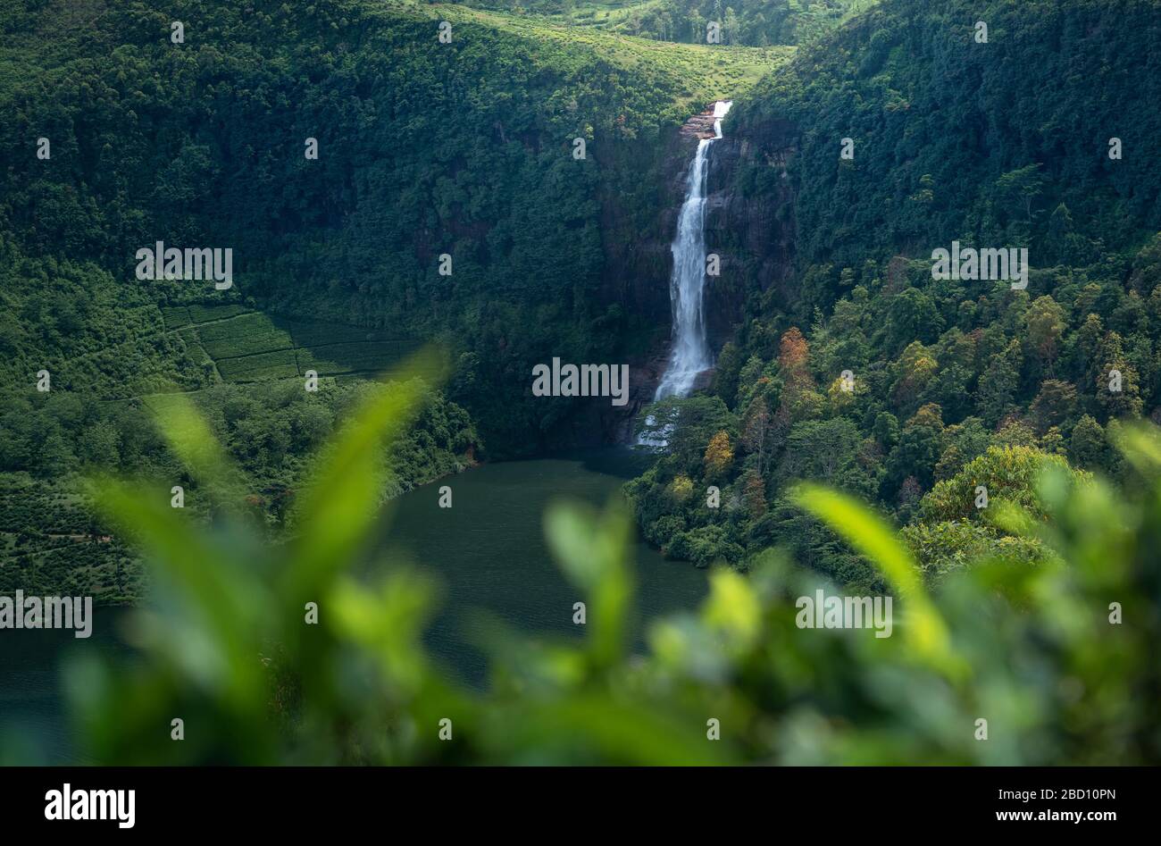 Beautiful Waterfalls in Maskeliya, Sri Lanka Stock Photo - Alamy