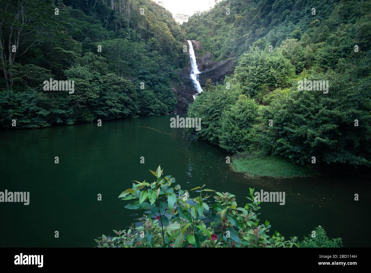 Beautiful Waterfalls in Maskeliya, Sri Lanka Stock Photo - Alamy