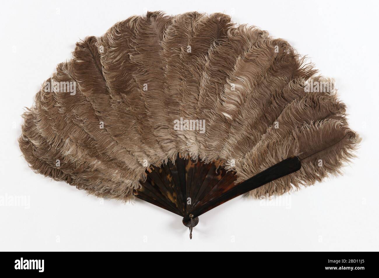 Shoulder feathers hi-res stock photography and images - Alamy