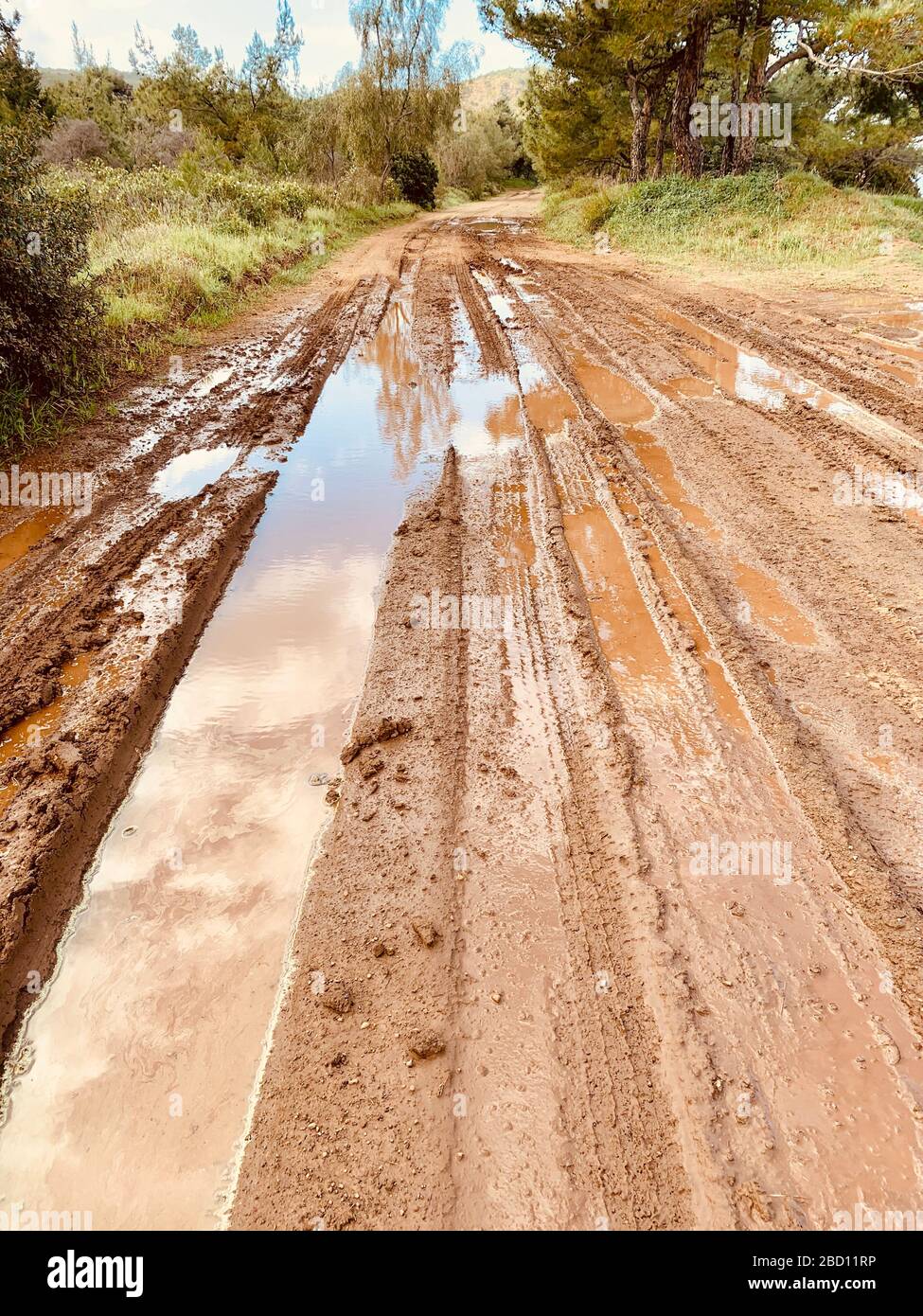 Muddy bumpy path in detail. Impassable road Stock Photo - Alamy