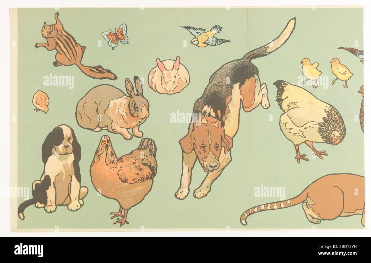 Kindergarten CutOuts. Research in ProgressAnimals outlined with thick ...