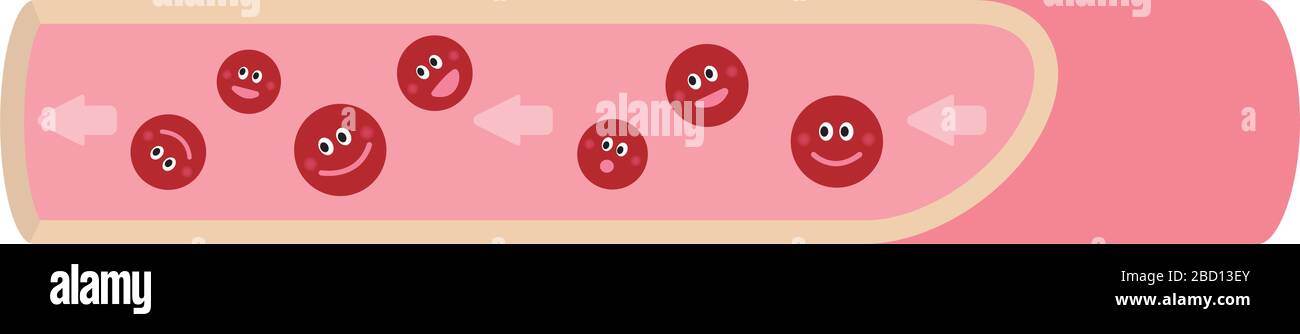 Cartoon illustration of healthy blood vessel Stock Vector Image & Art ...