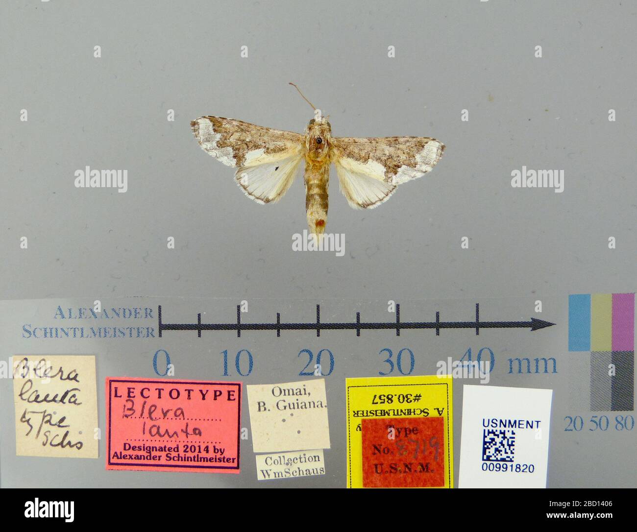 Lauta High Resolution Stock Photography and Images - Alamy