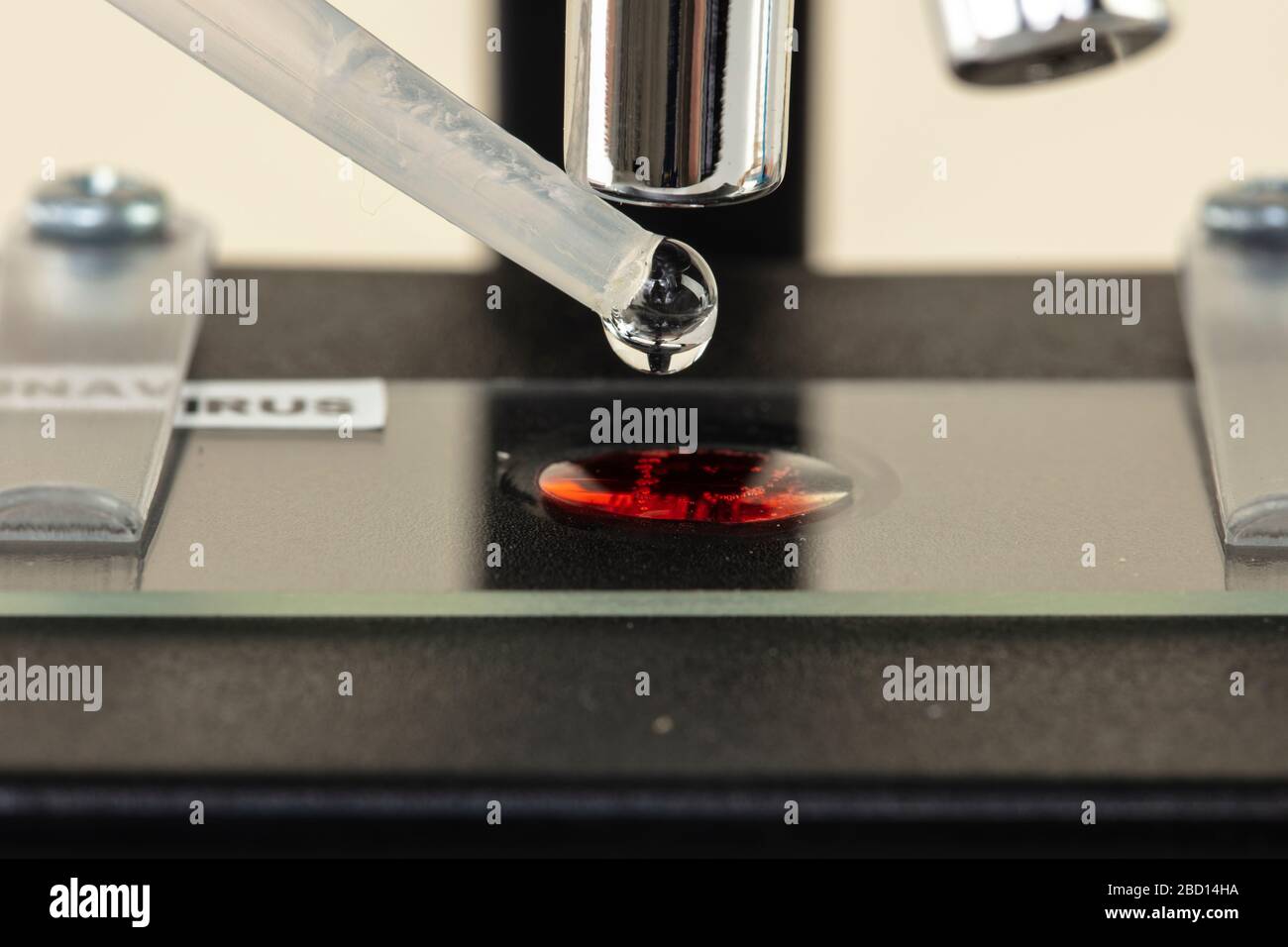 blood sample placed on a microscope slide Stock Photo - Alamy
