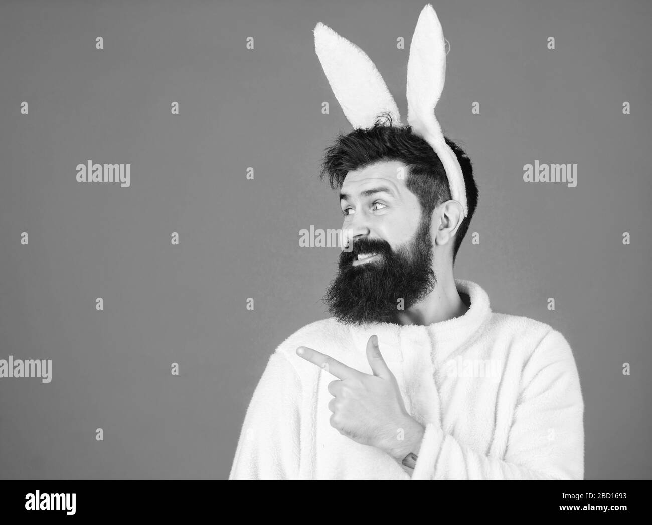 Man wearing bunny plush suit. Funny bunny man with beard and mustache ...