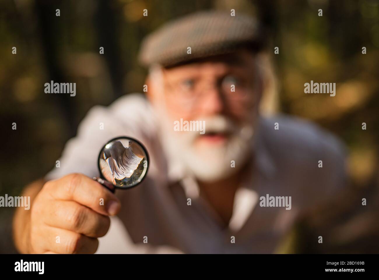 Picky detective in forest. Explore nature. Pensioner with magnifier ...