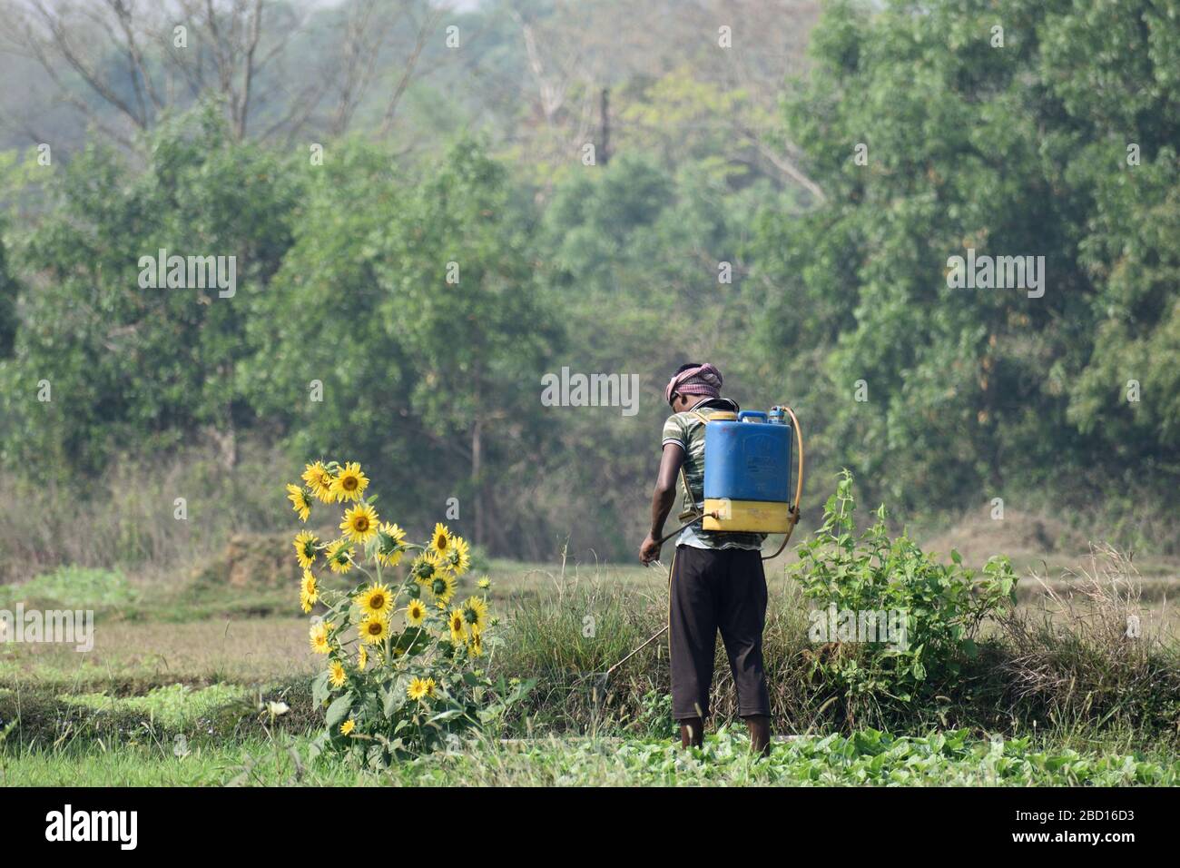 India farming aerial hi-res stock photography and images - Alamy
