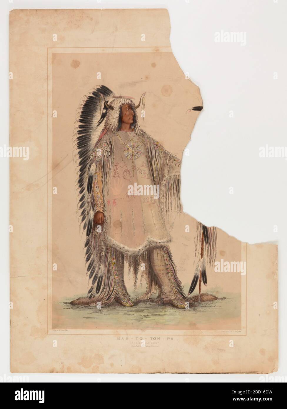Mandan chief hi-res stock photography and images - Alamy