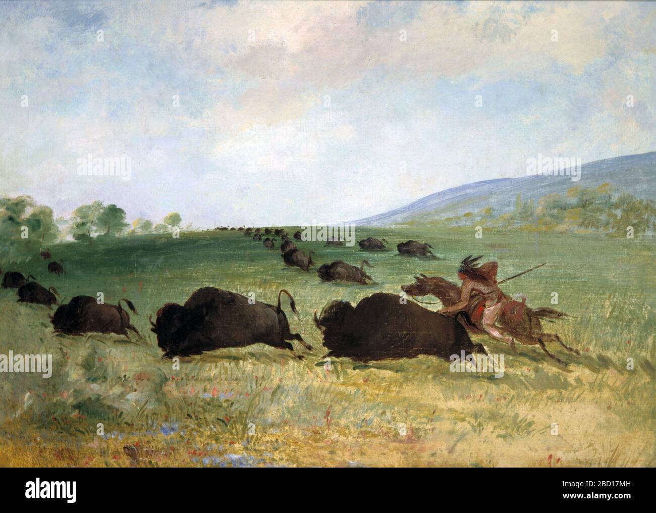 Indian ambush hi-res stock photography and images - Alamy