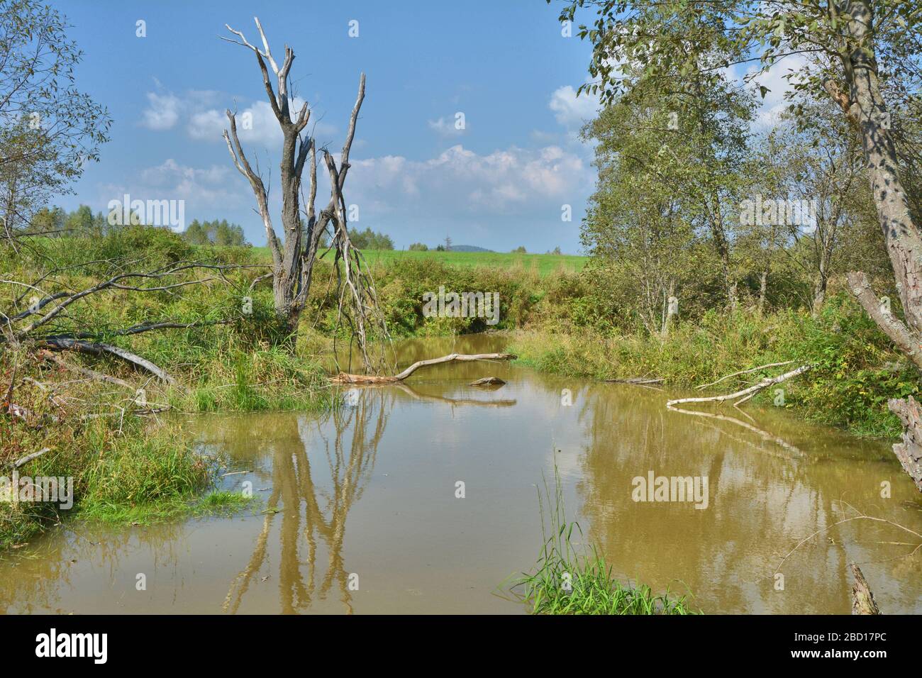 Bio bio river dam hi-res stock photography and images - Alamy