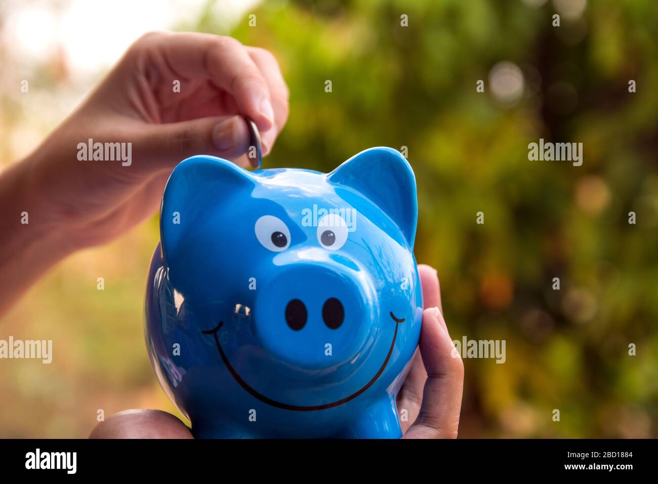 piggy save money concept, piggy bank on nature background Stock Photo ...