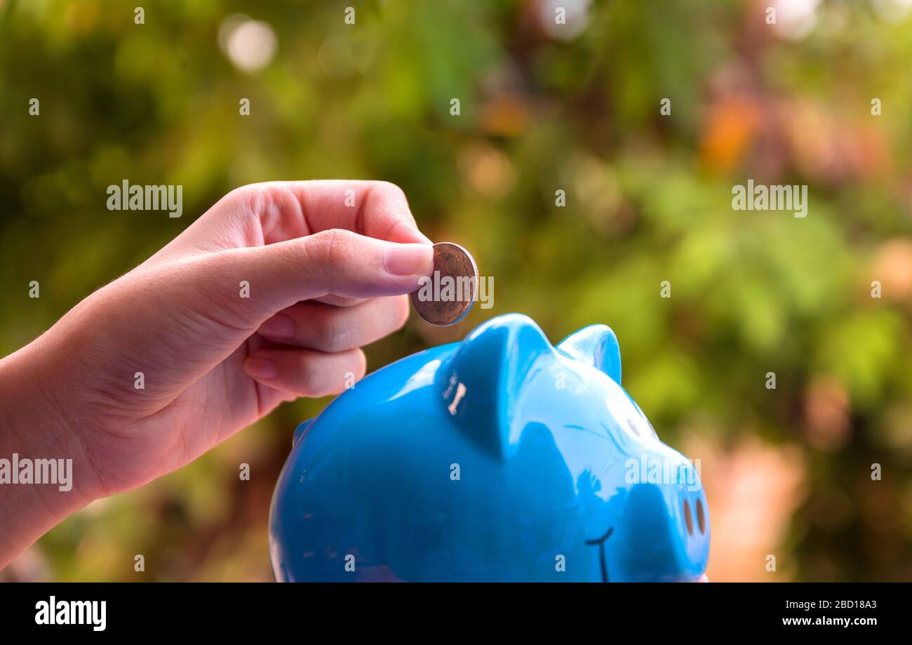 piggy save money concept, piggy bank on nature background Stock Photo ...