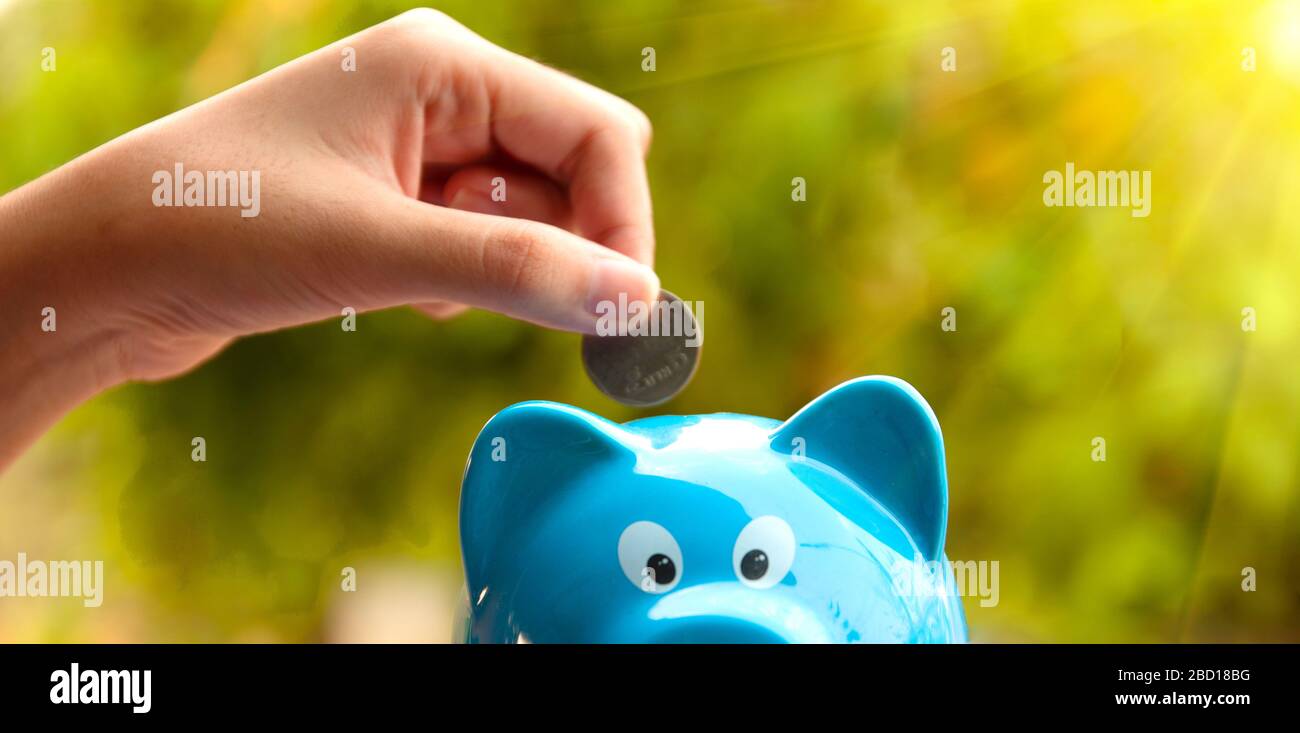 piggy save money concept, piggy bank on nature background Stock Photo ...
