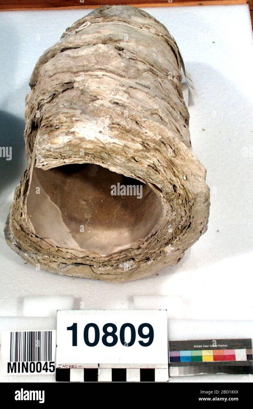 Sinter. 26 Oct 20171 Sinter Stock Photo - Alamy