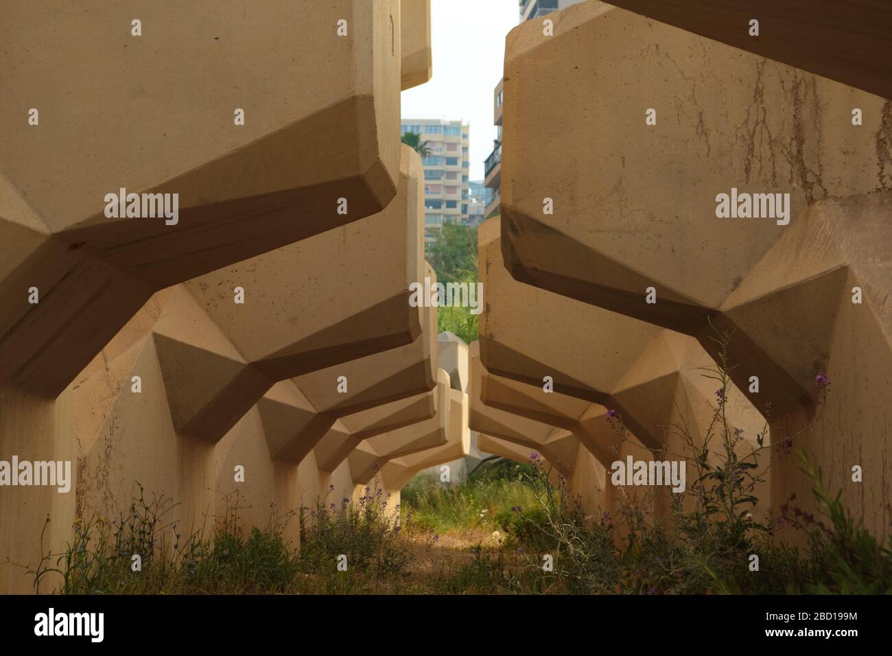 Numerous acropode blocks aligned next to each other. Acropodes are ...