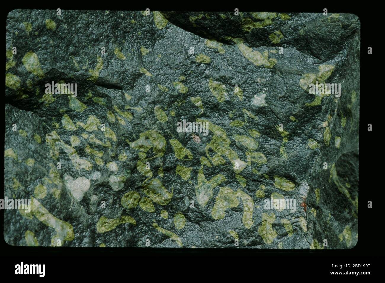 Greenstone rock hi-res stock photography and images - Alamy