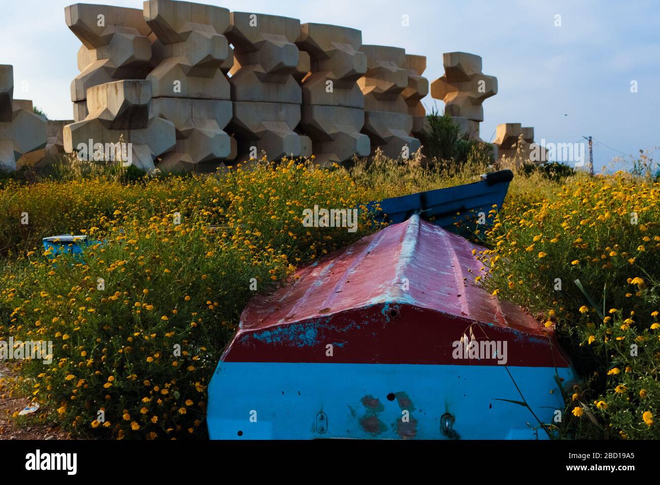 Accropodes hi-res stock photography and images - Alamy