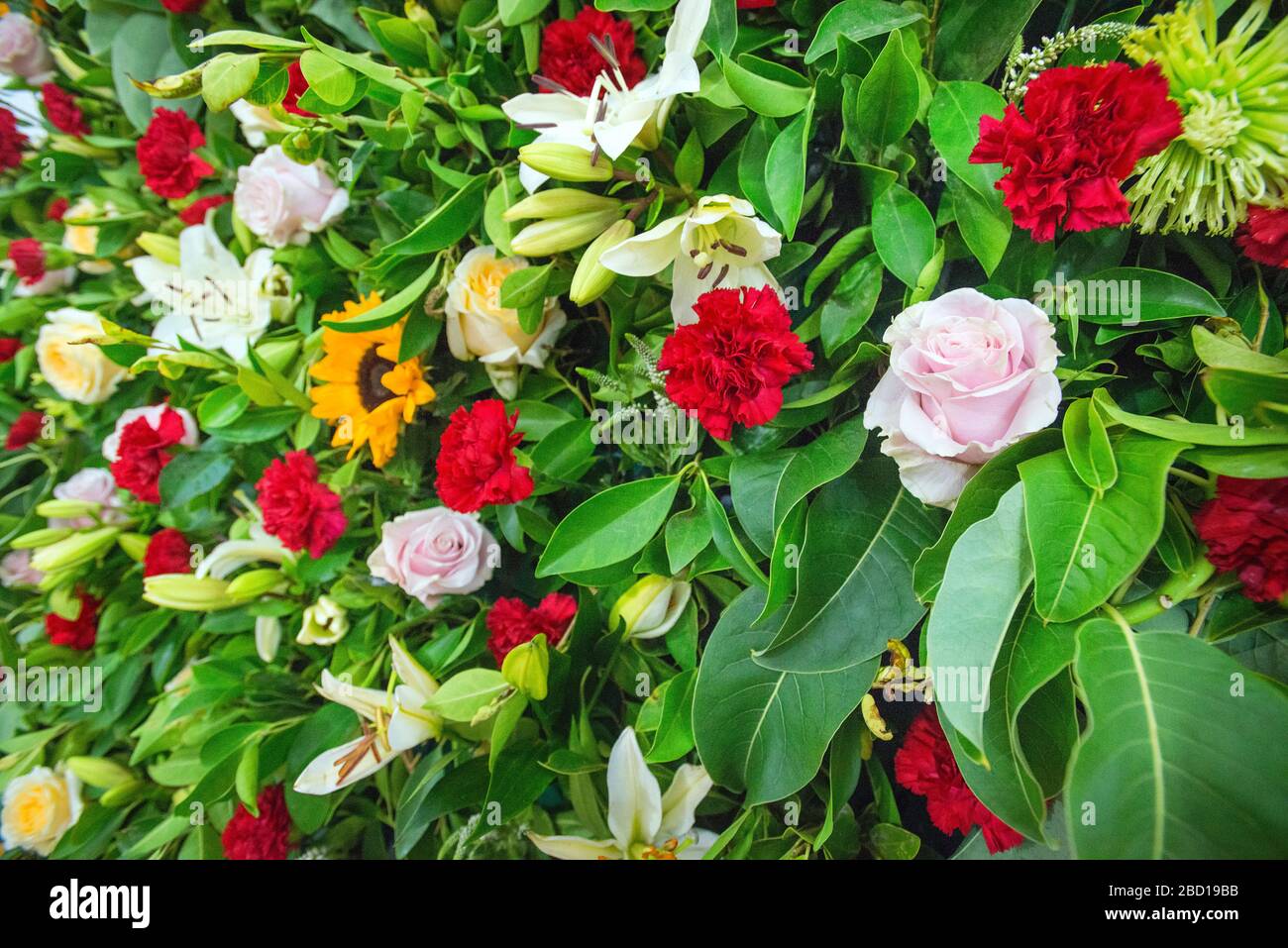 Colourful wall display of Flowers and foliage Stock Photo - Alamy