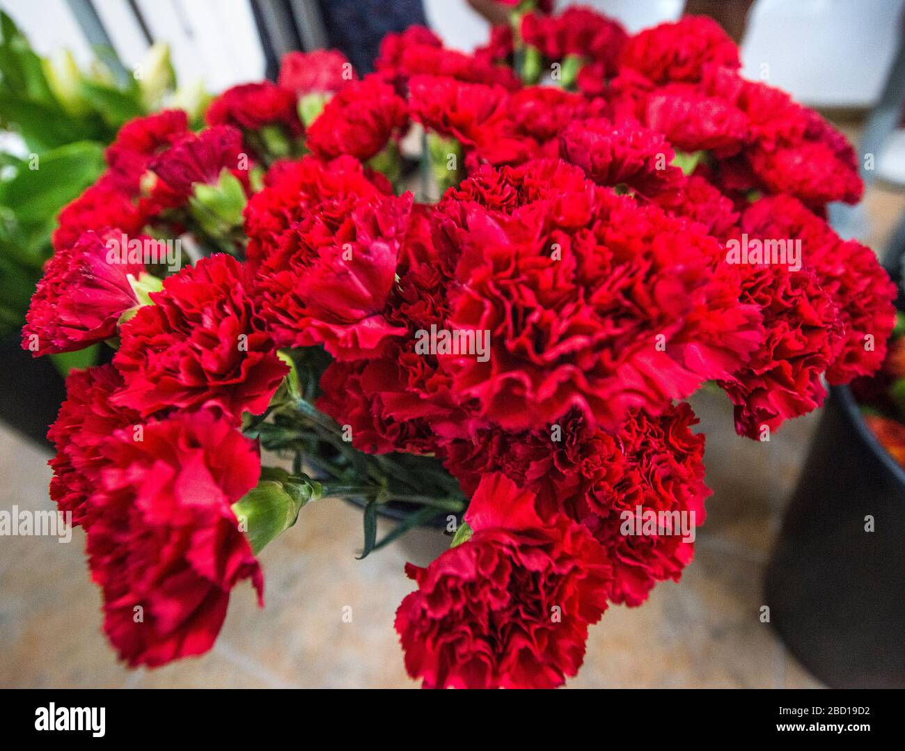 Red Carnation Flowers Bunch Stock Photo - Alamy