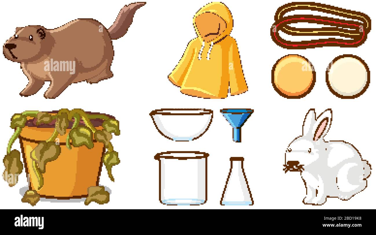 Large set of different animals and other objects on white background ...