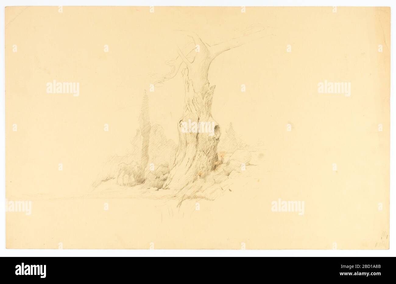 Tree and countryside Cut Out Stock Images & Pictures - Alamy