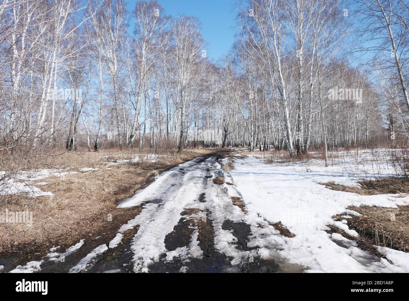 Spring dirty road Stock Photo - Alamy