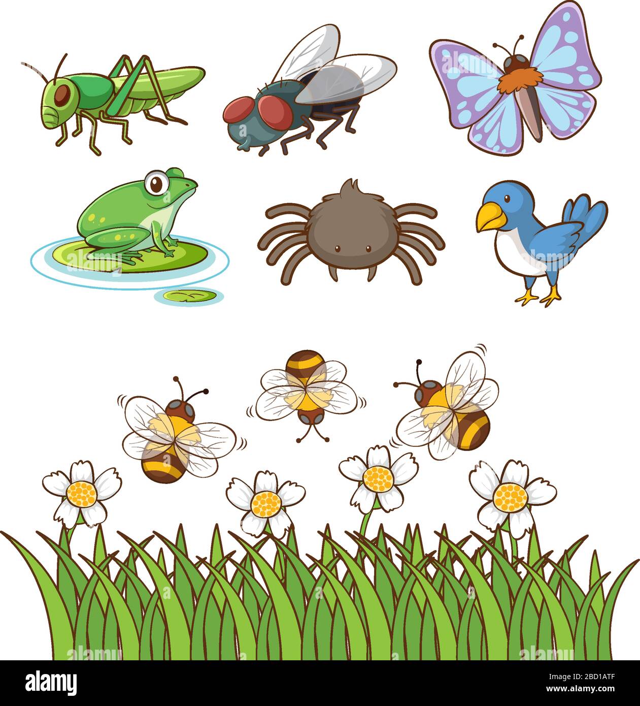 Large set of different types of insects on white background ...