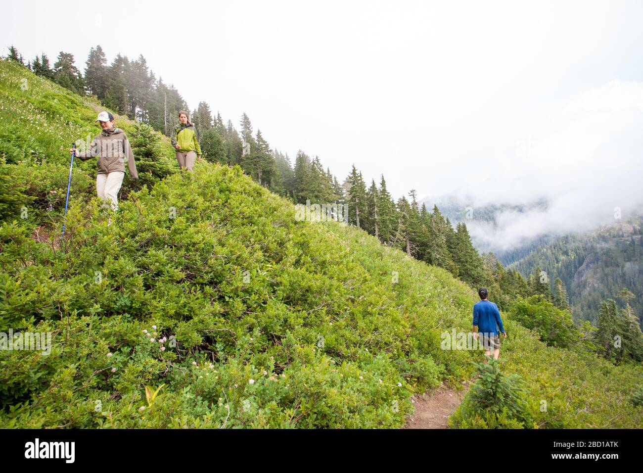 Two female and one male hikers without backpacks walk down a switchback ...