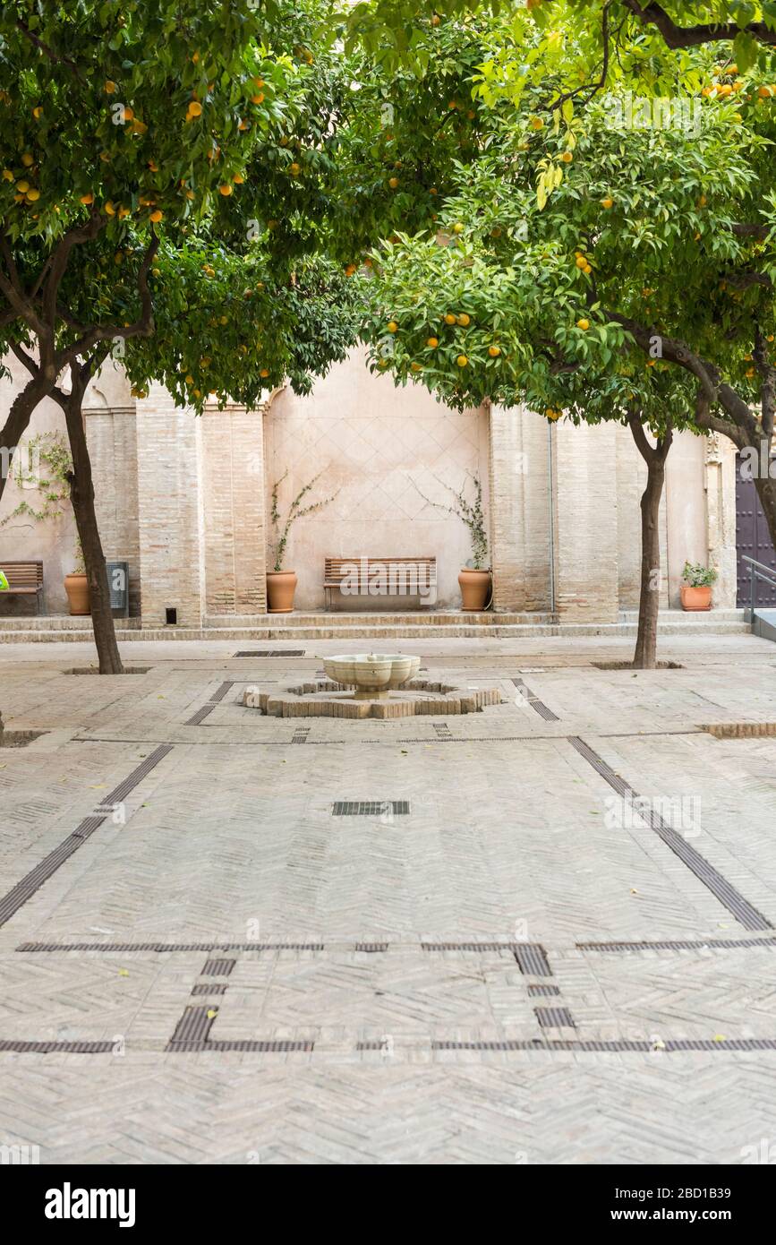 Lemon trees hi-res stock photography and images - Alamy